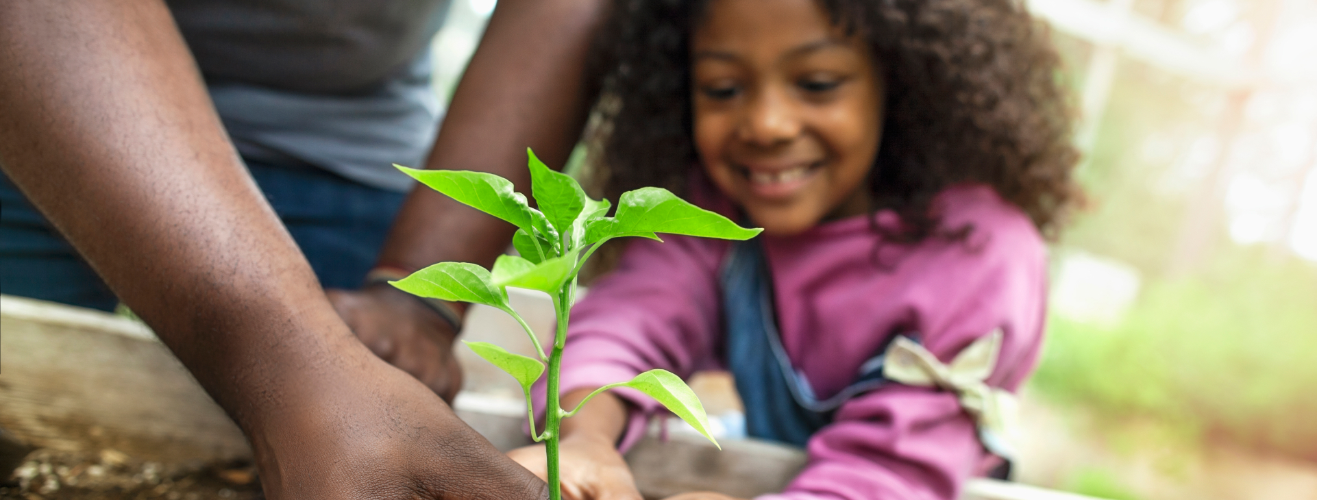 Powering Milwaukee Forward | Cultivating healthier communities